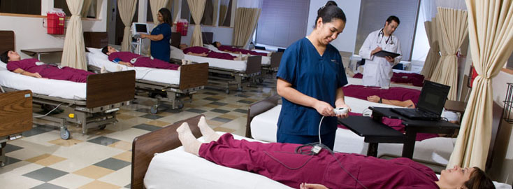 Celerion announces highly automated ECG analysis enabling data delivery ...